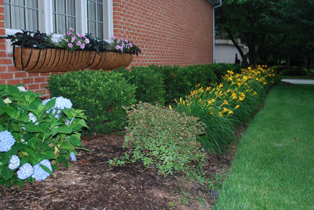 RESIDENTIAL MAINTENANCE – Redbud Landscaping