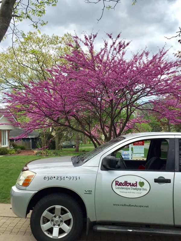 Contact – Redbud Landscaping